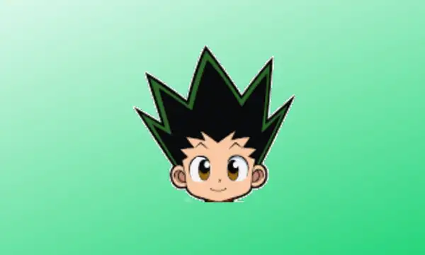 Hunter X Hunter - Unleashed Premium